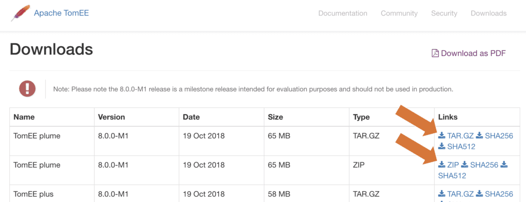 It's Easy! Remote Debugging with Eclipse and TomEE