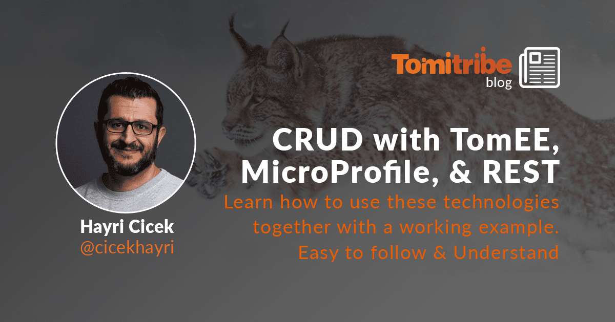 Crud With Tomee Microprofile And Rest
