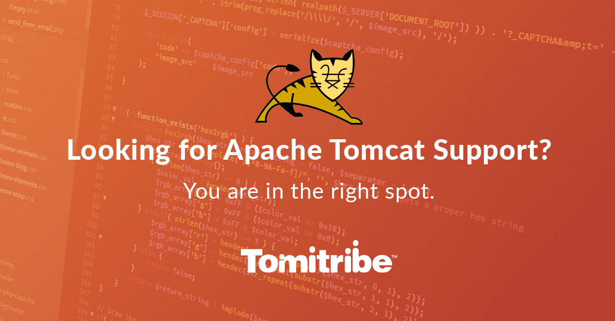 Tomcat Support - Tomitribe